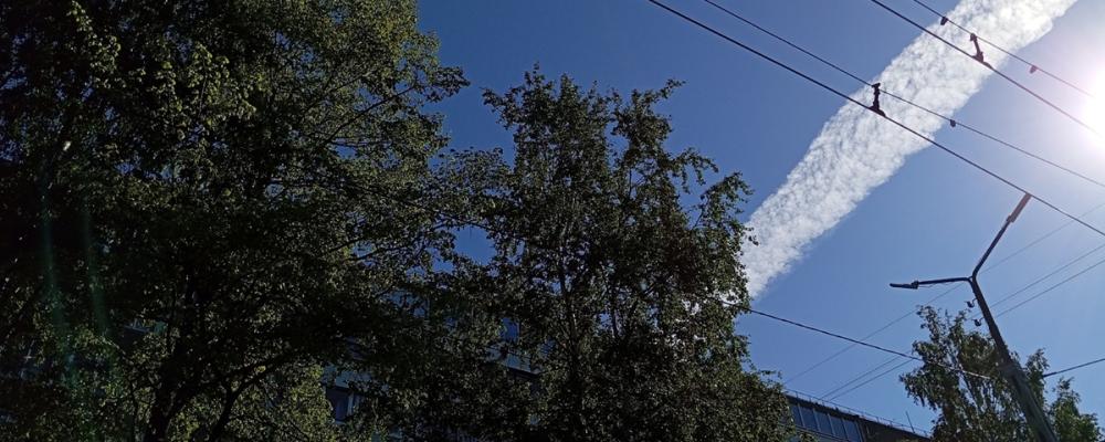 Уходили и раньше: что известно о семье, где пропали две сестры ...